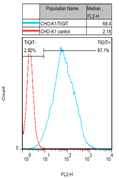 TIGIT CHO-K1 Cell Line – Cells Online
