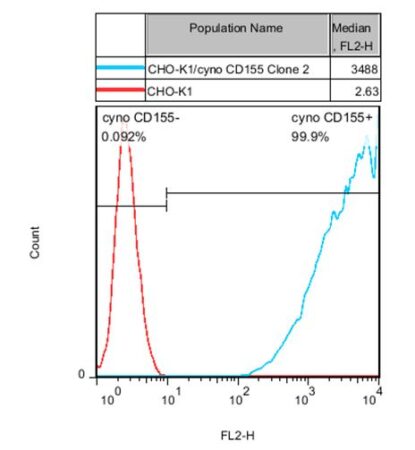 CHO-K1/ Cyno CD155 Stable Cell Line – Cells Online
