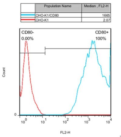 CHO-K1/ CD80 Stable Cell Line – Cells Online