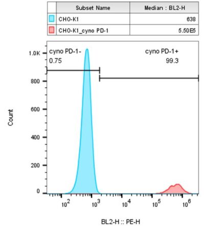 CHO-K1/ Cyno PD-1 Stable Cell Line – Cells Online