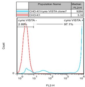 CHO-K1/ Cyno VISTA Stable Cell Line – Cells Online